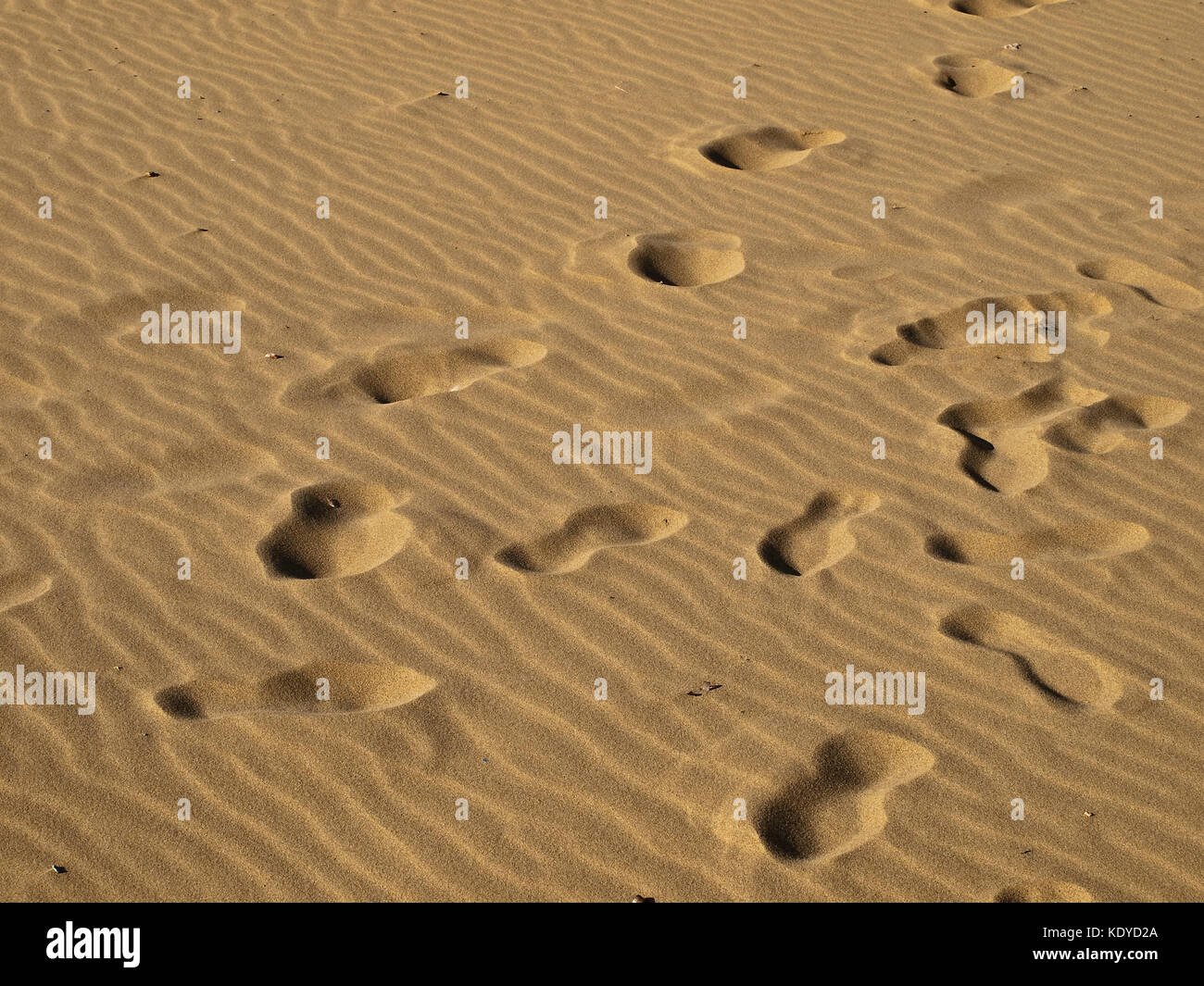 Footsteps or marks on the sand in a desert or on a beach Stock Photo ...