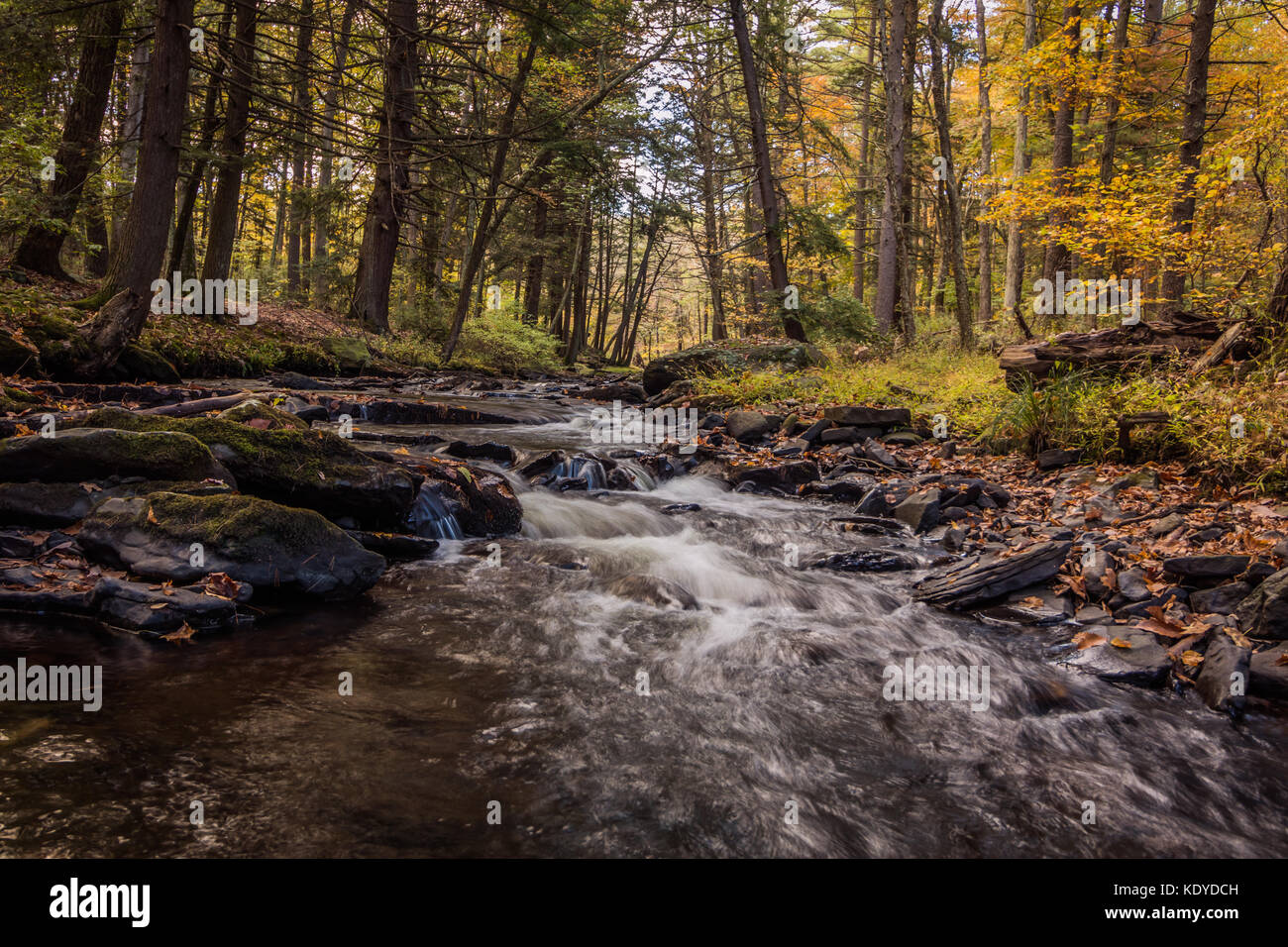 Waterfalls flow smoothly over rocks surrounded by peak fall foliage in ...