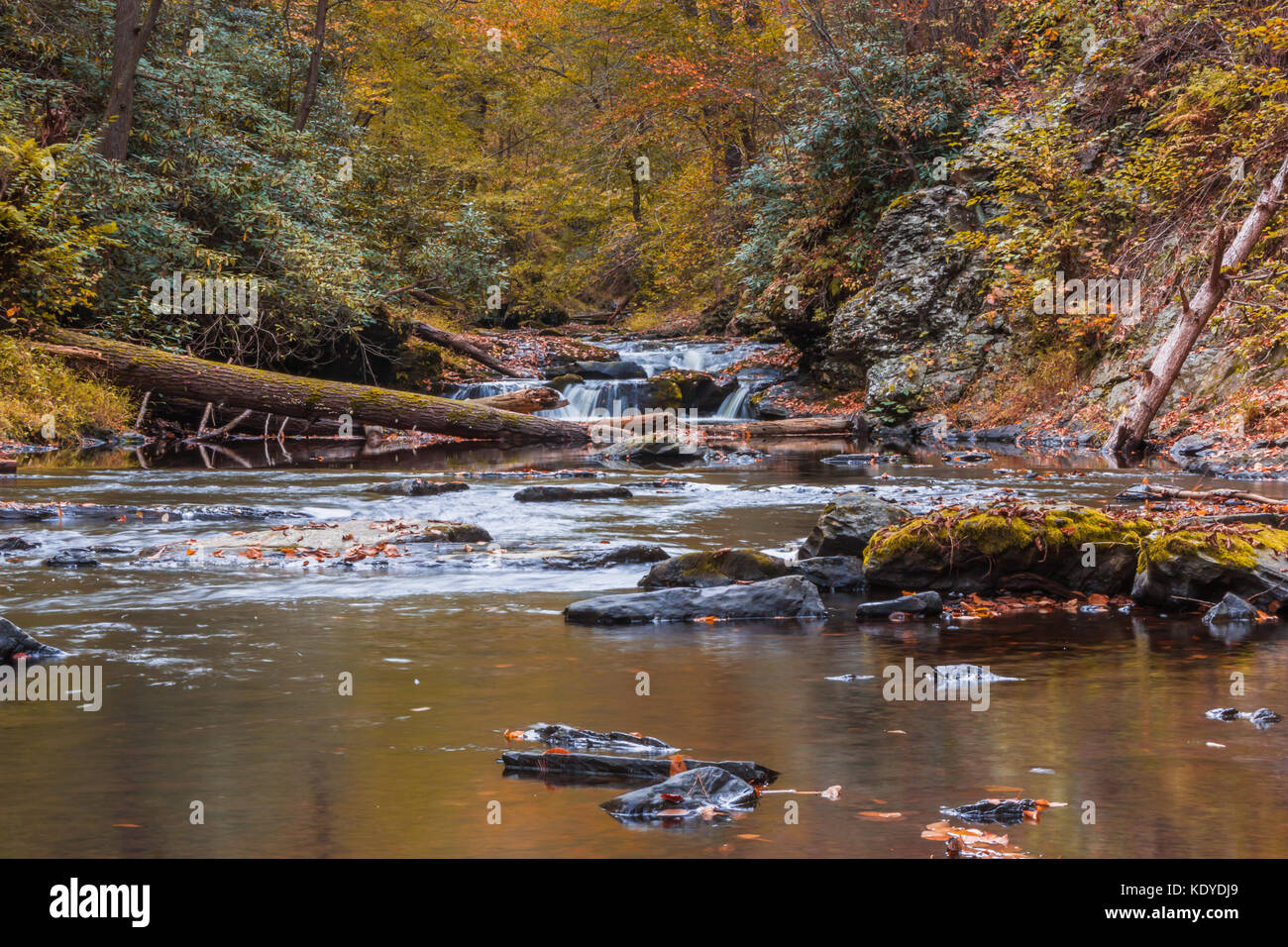 Waterfalls flow smoothly over rocks surrounded by peak fall foliage in ...