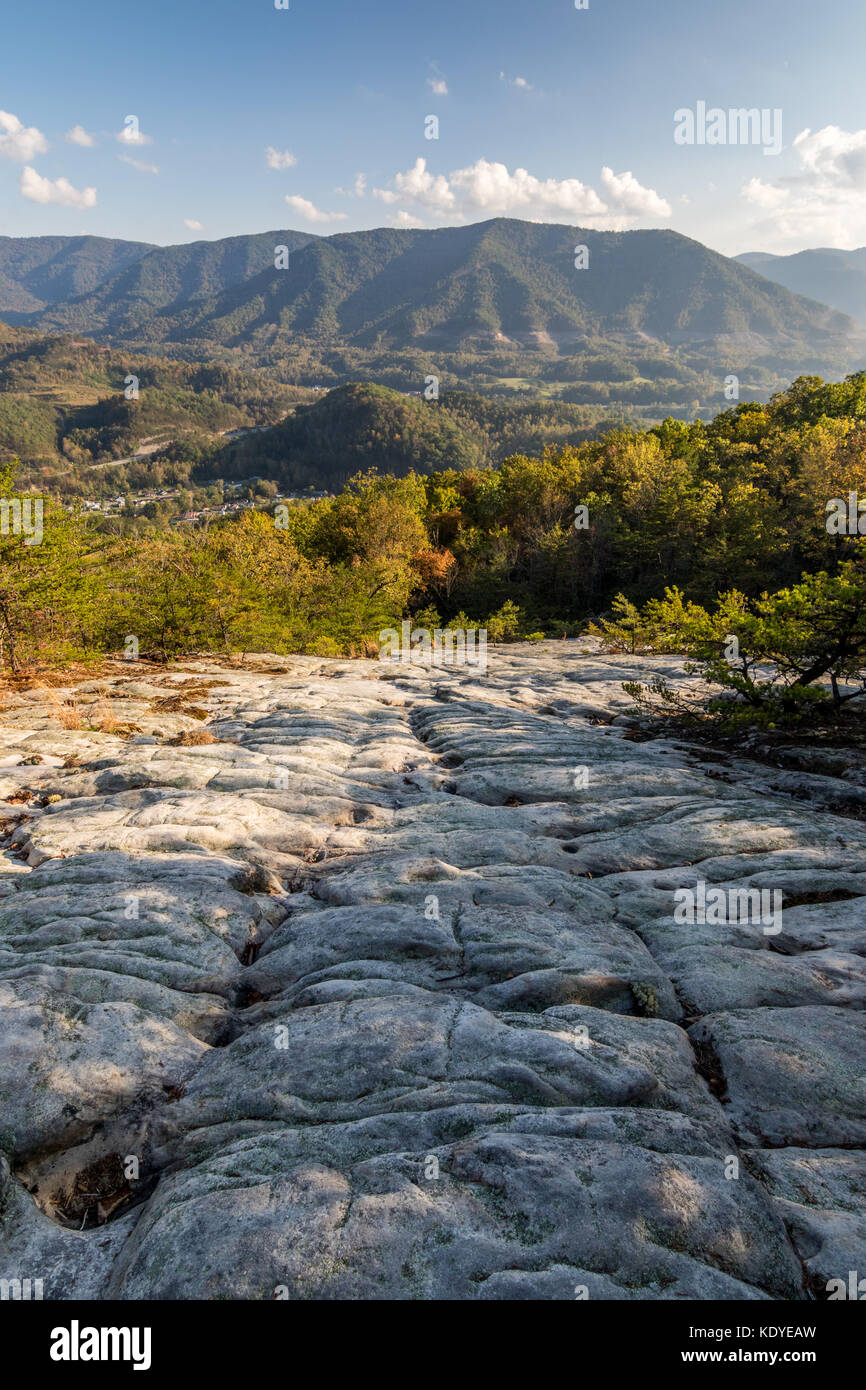 Mountains rise in the distance as fall colors begin to show in the ...