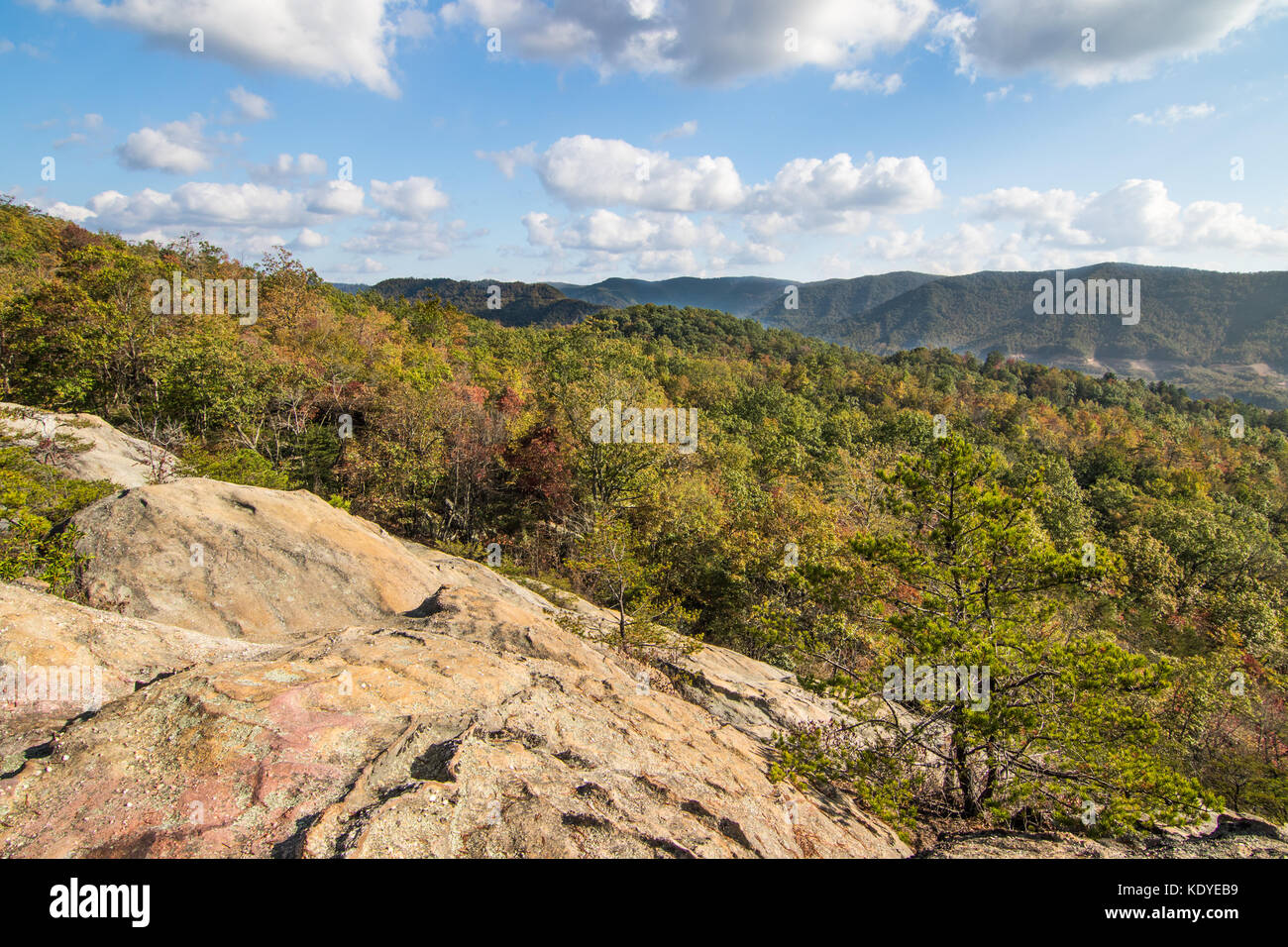 Harlan colors hi-res stock photography and images - Alamy