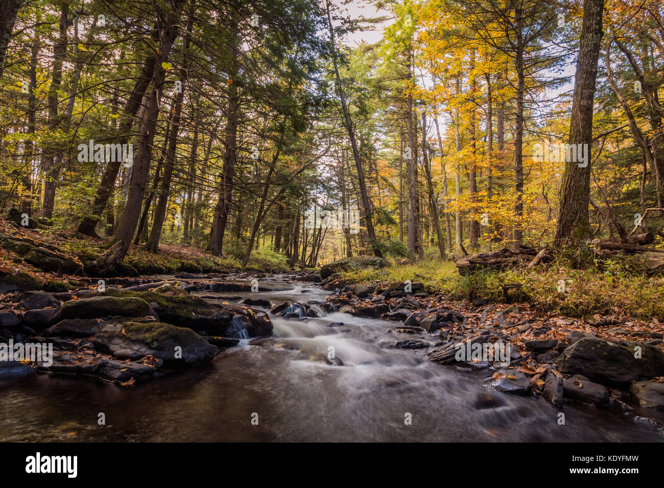 Waterfalls flow smoothly over rocks surrounded by peak fall foliage in ...