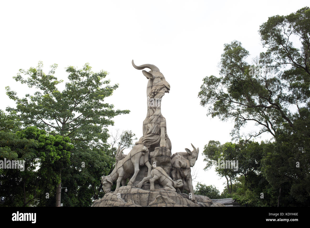 Five goats hi-res stock photography and images - Alamy