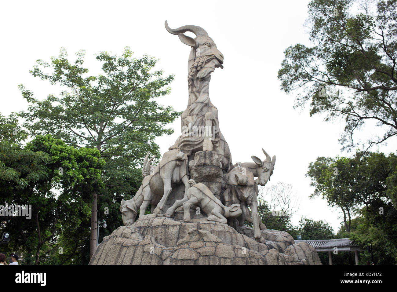 Five goats hi-res stock photography and images - Alamy