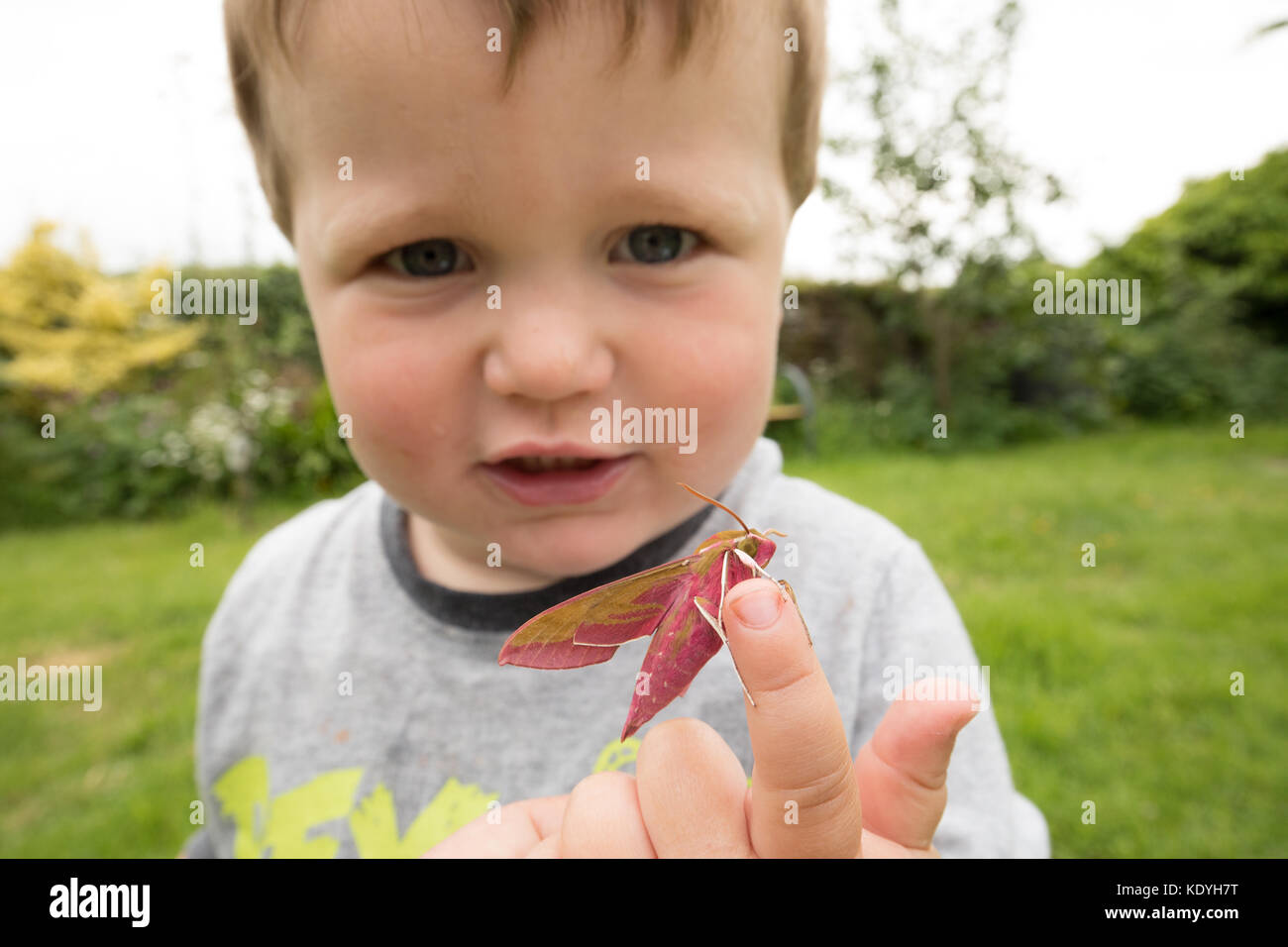 Child holding insect hi-res stock photography and images - Alamy