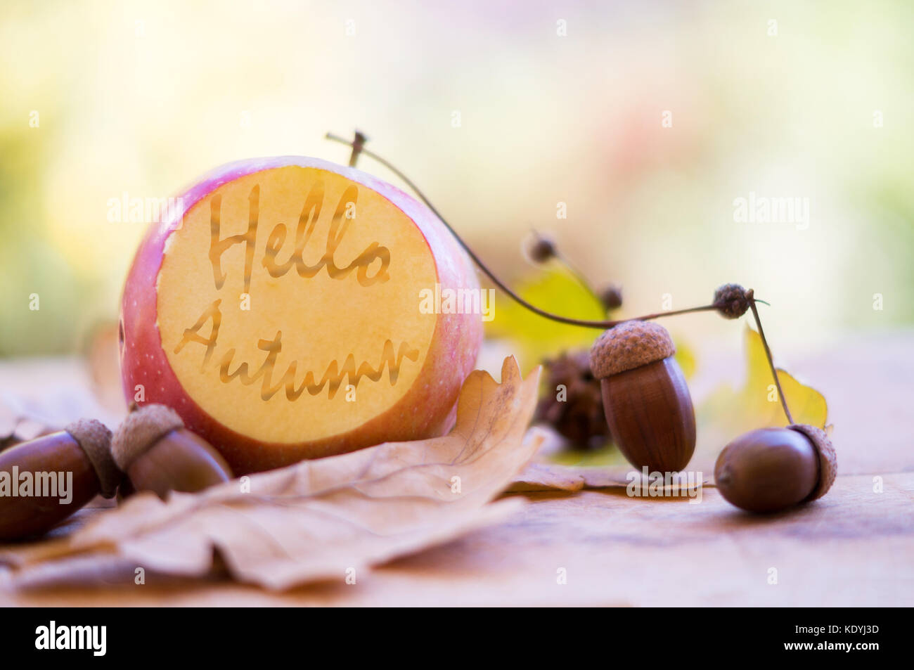 Hello autumn text leaves on hi-res stock photography and images - Alamy