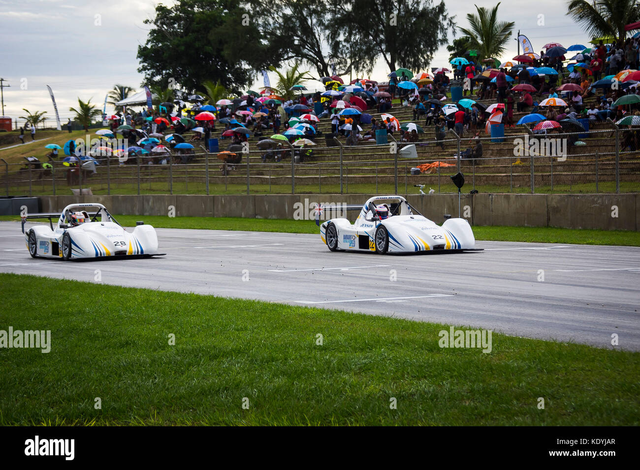 Mark malonely driving at bushy park hi-res stock photography and images ...
