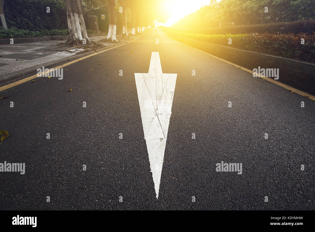 Arrow sign on the road Stock Photo - Alamy