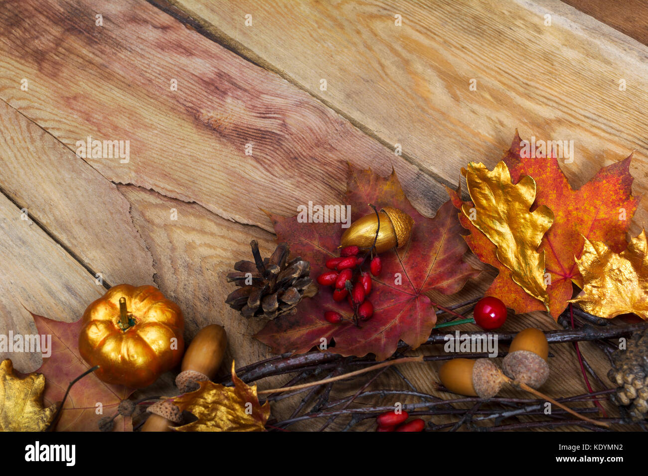 Thanksgiving background with golden pumpkin, acorn and oak leaves holiday decoration on the ...