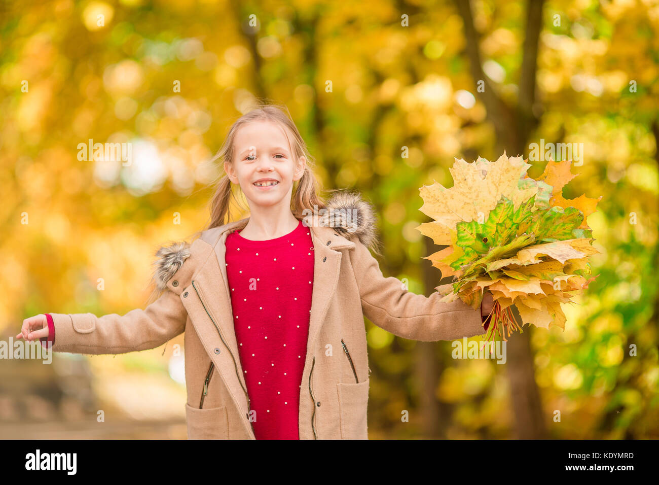 Adorable little girl at beautiful autumn day outdoors Stock Photo - Alamy