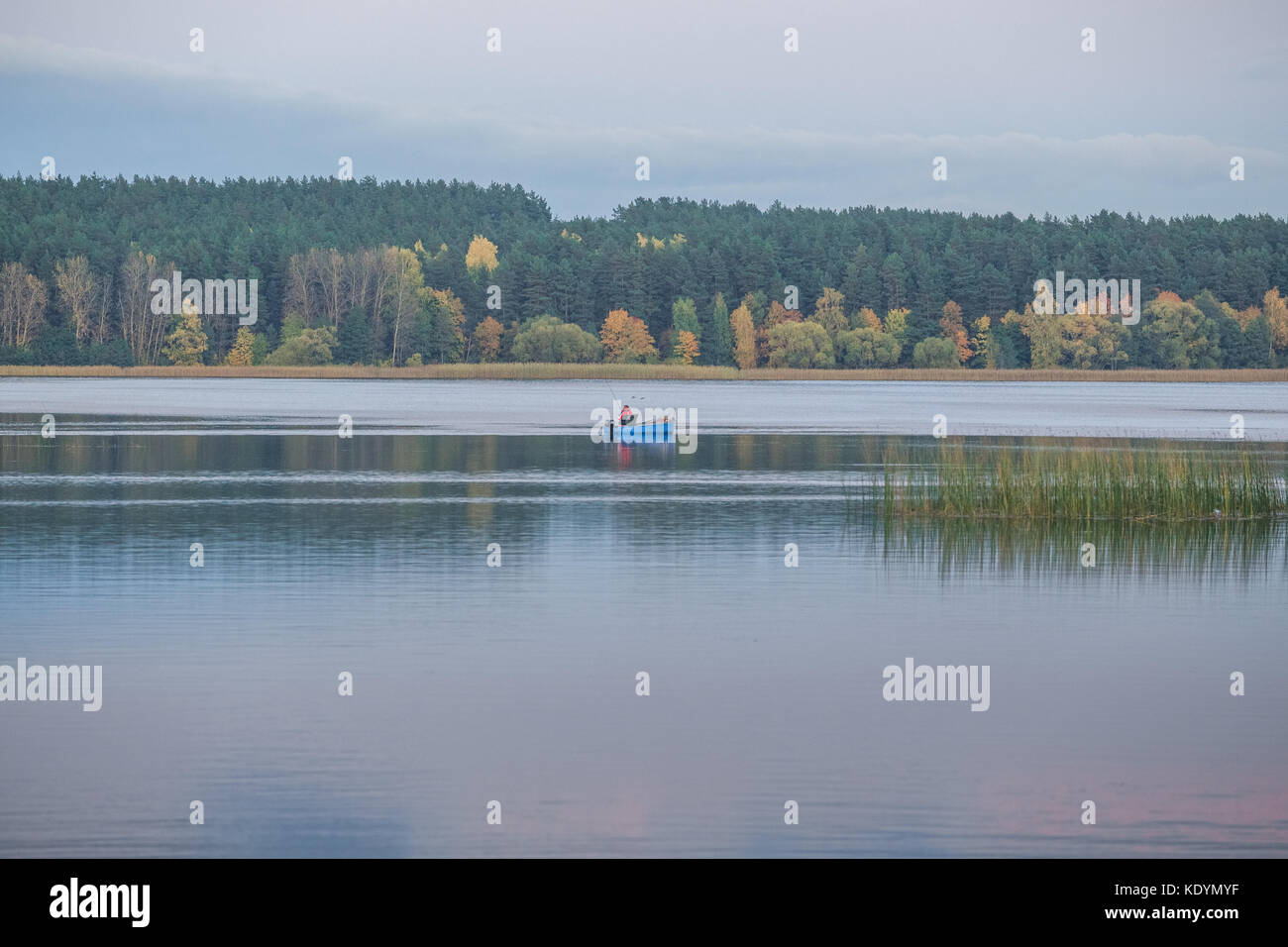 Lake in Riga, district Jugla. Autumn, yellow tree leaves, lake and ...