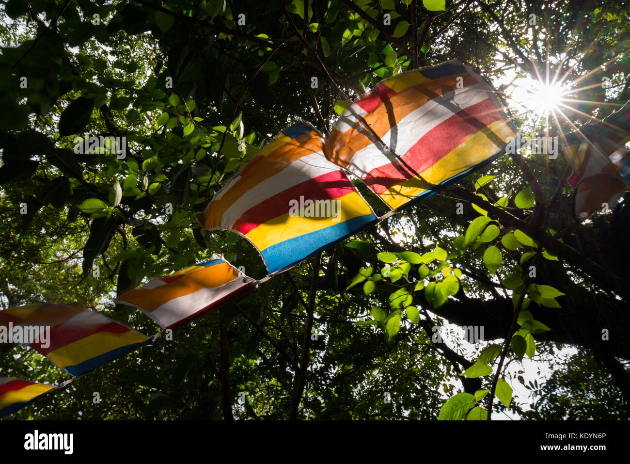 Buddhist flags color bar vertical and horizontal. It's decorative in ...