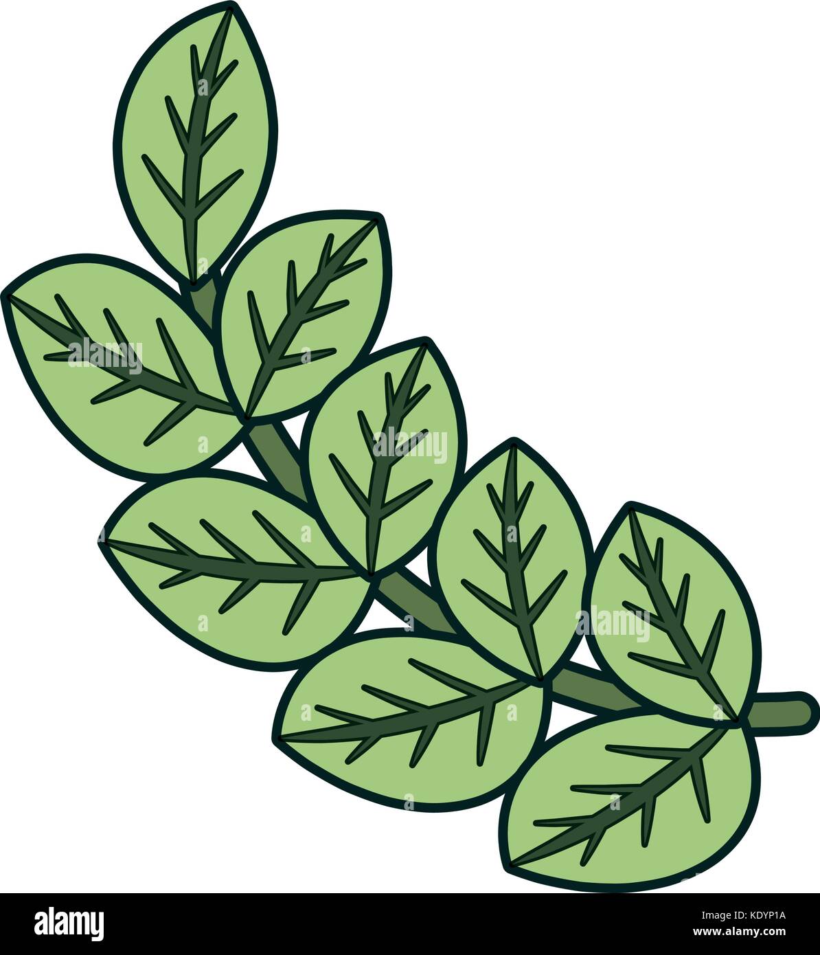 stem with leaves icon Stock Vector Image & Art - Alamy