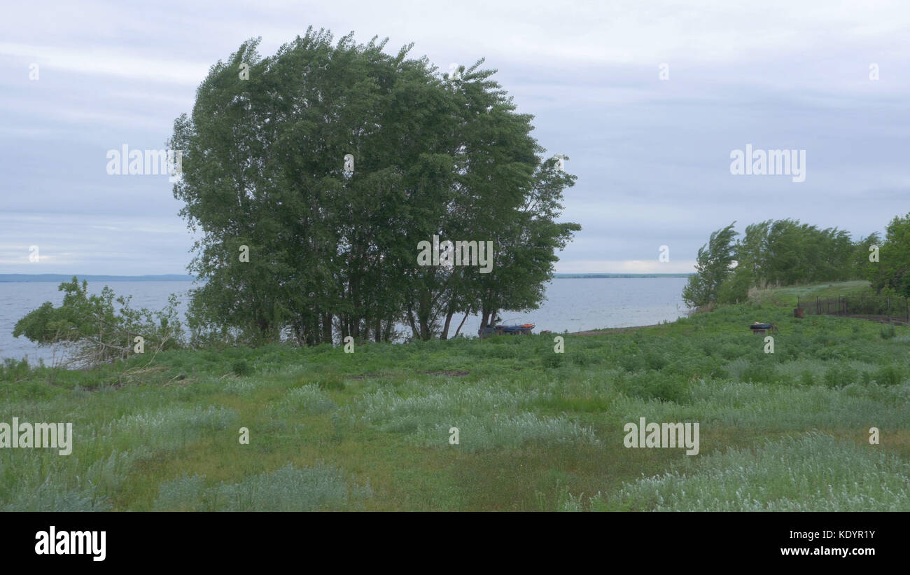 Tree near lake during sunset. Beautiful natural landscape. tree nature ...