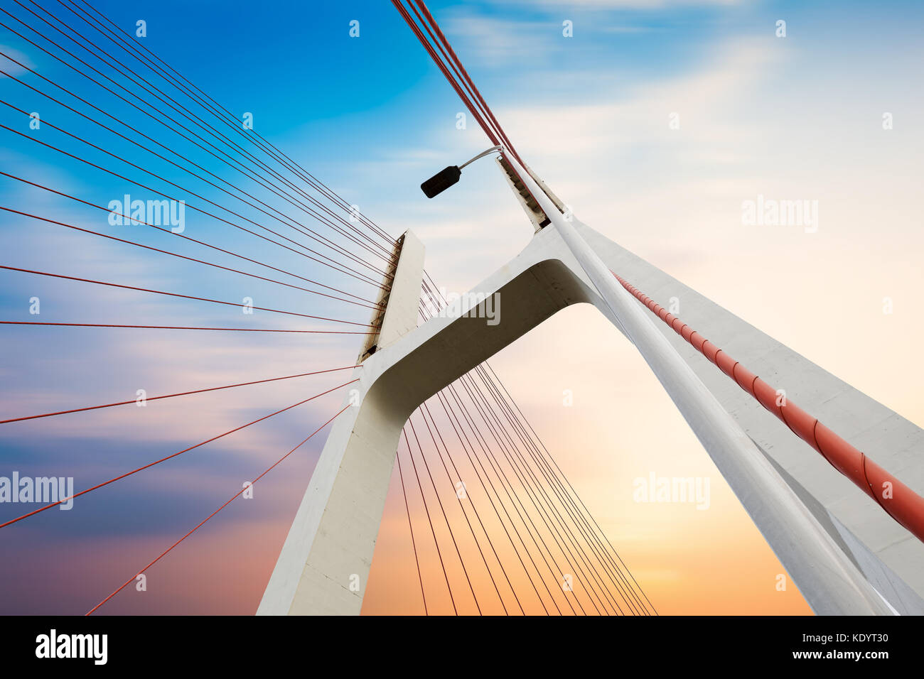 Modern bridge cables, twilight landscape Stock Photo - Alamy