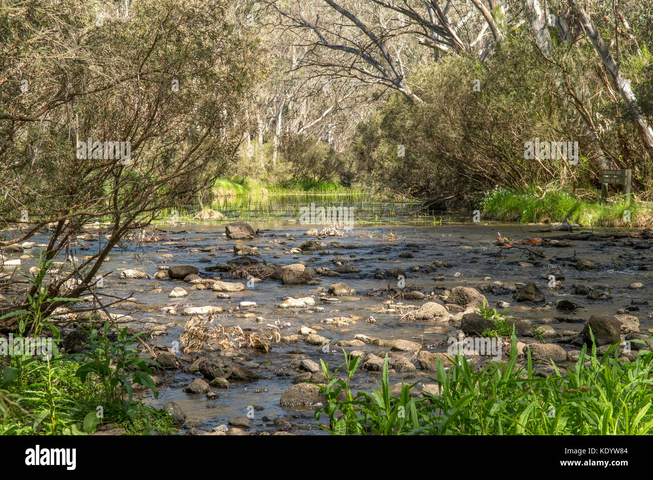 Jacksons Creek Organ Pipes National Park Keilor Victoria Australia