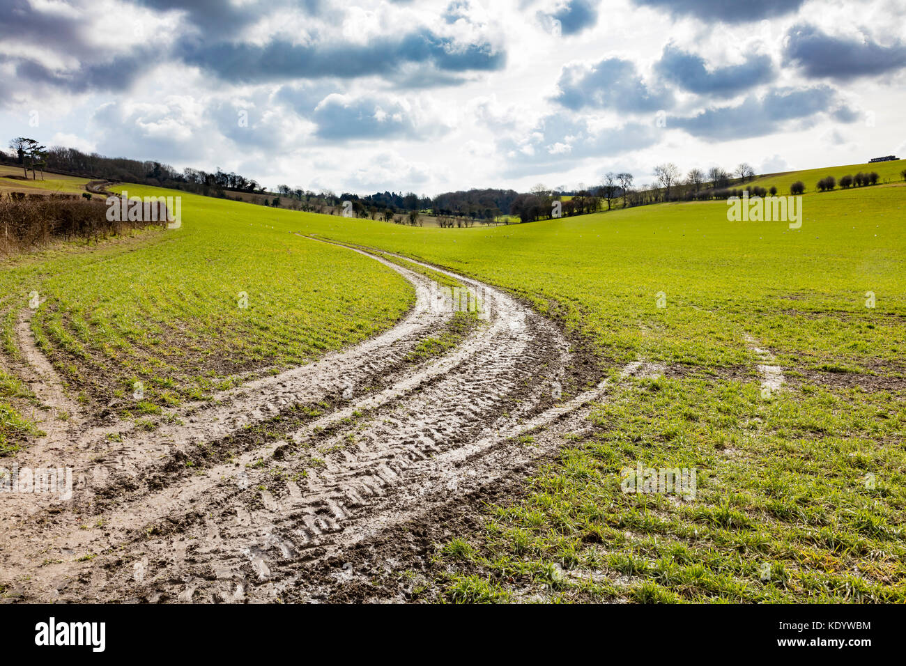 Tracks tractor field trees hi-res stock photography and images - Alamy