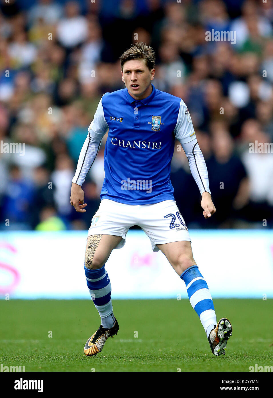 Sheffield Wednesday's Adam Reach Stock Photo - Alamy