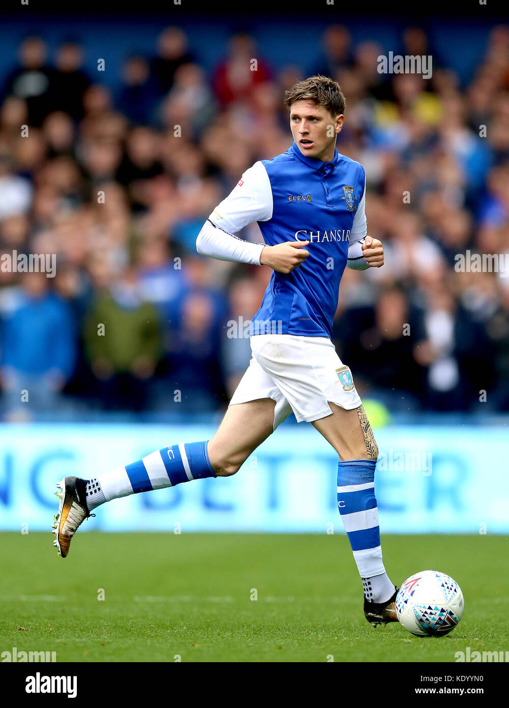 Sheffield Wednesday's Adam Reach Stock Photo - Alamy