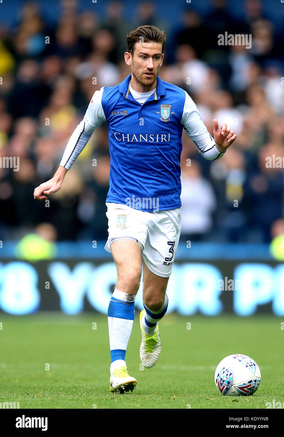 Sheffield Wednesday's David Jones Stock Photo - Alamy