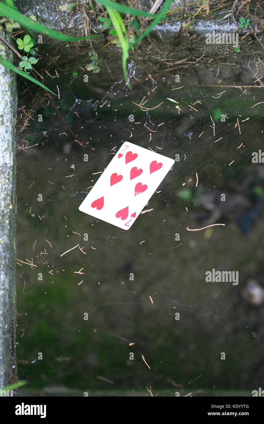 Playing cards in the street Stock Photo - Alamy