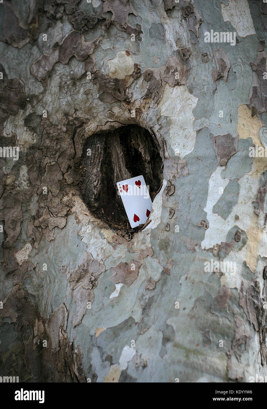 Playing cards in the street Stock Photo - Alamy