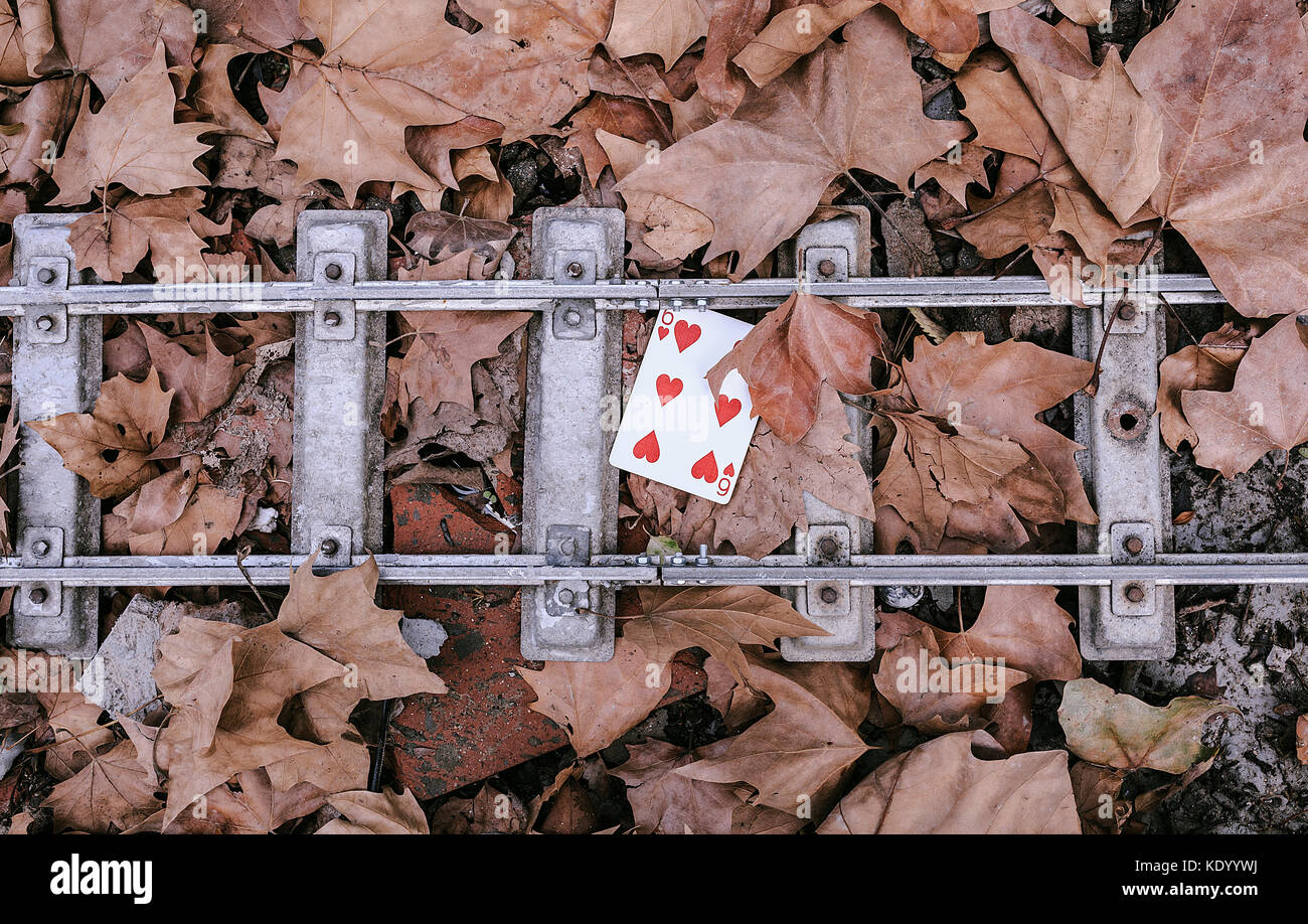 Playing cards in the street Stock Photo - Alamy