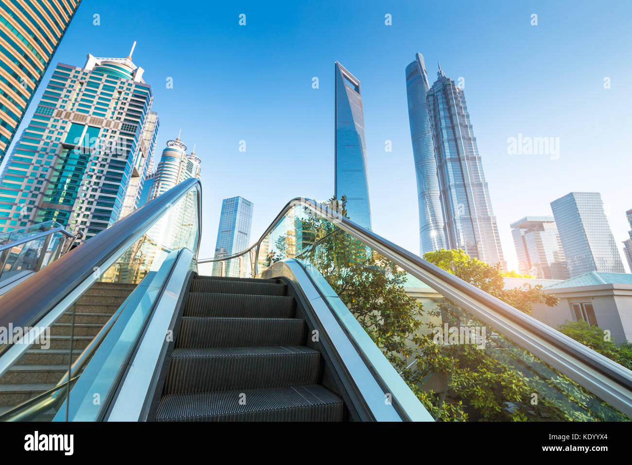Shanghai world financial center skyscrapers in lujiazui group Stock ...