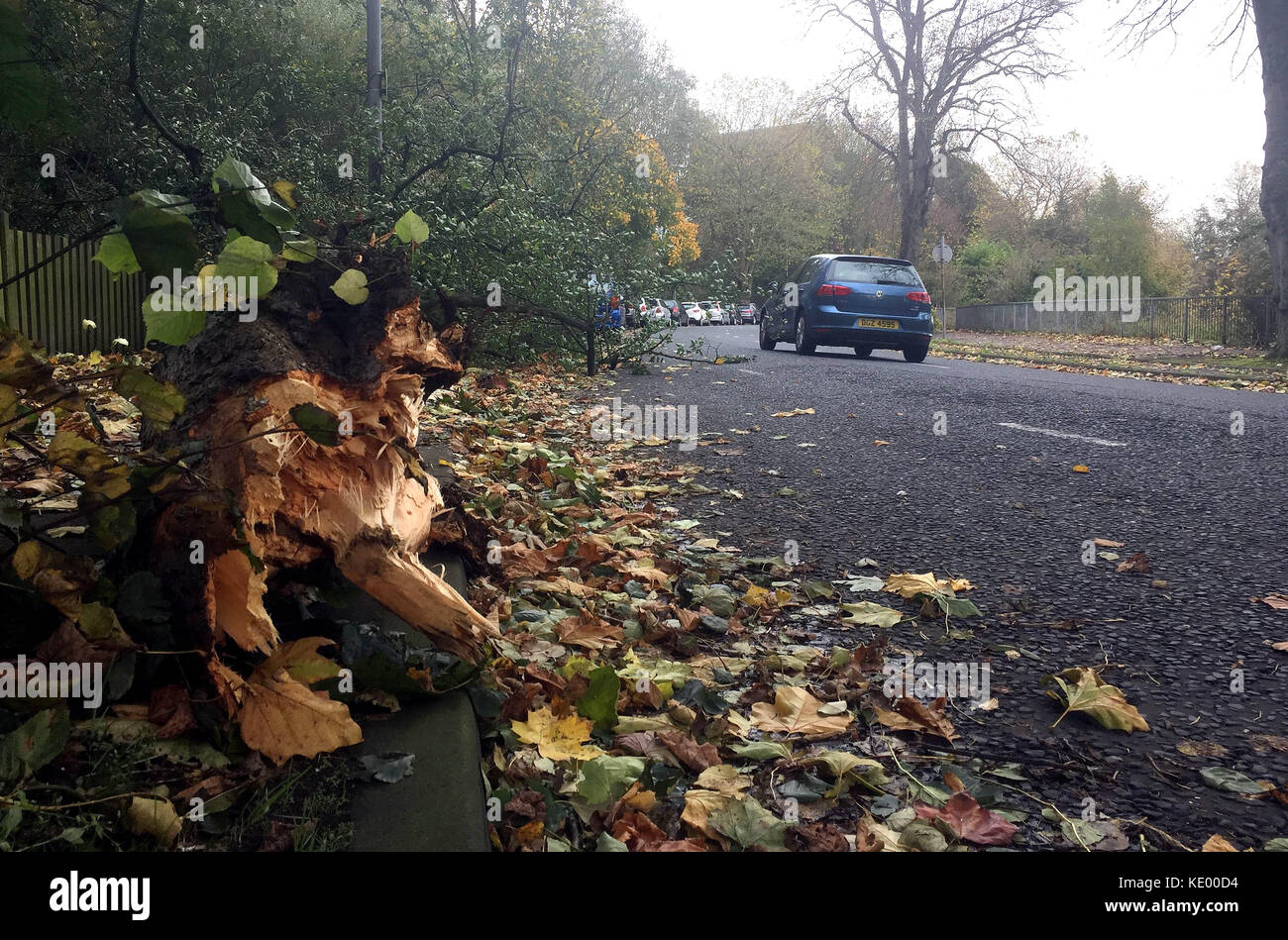 Storm damage in Belfast, after Hurricane Ophelia battered the UK and ...