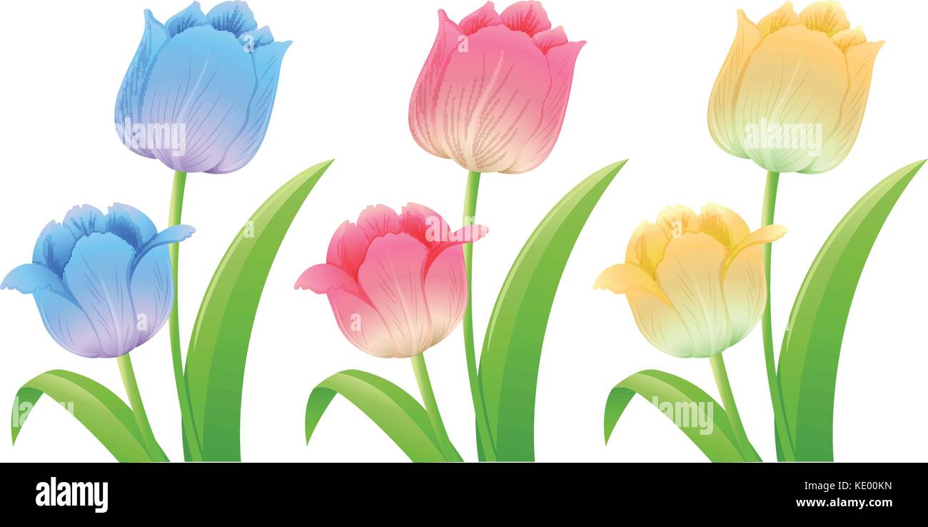 Colorful leaves different colors Stock Vector Images - Alamy