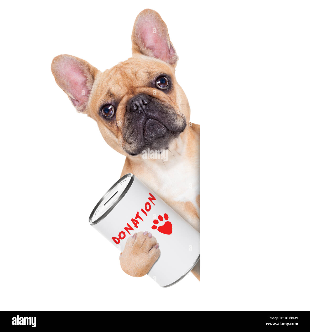 Charity poster homeless Cut Out Stock Images & Pictures - Alamy