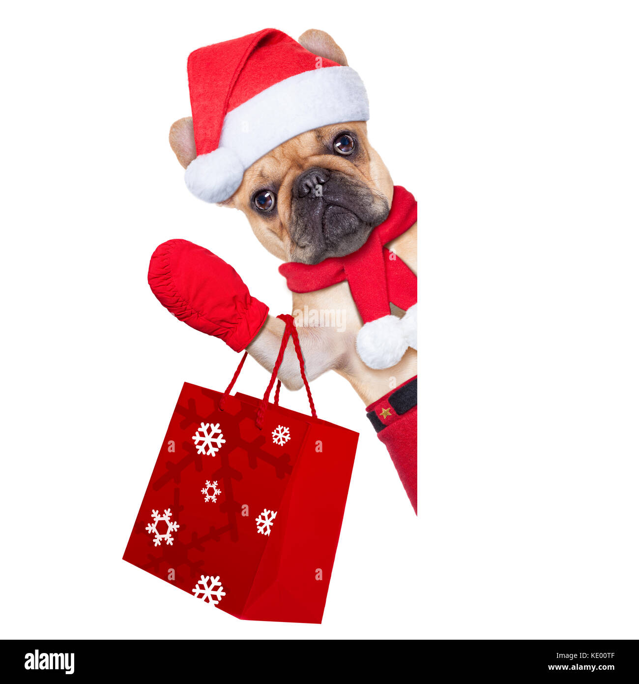 santa claus christmas dog isolated on white background, waving hands ...