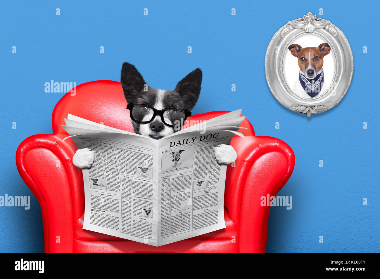 Dog reading newspaper hi-res stock photography and images - Alamy