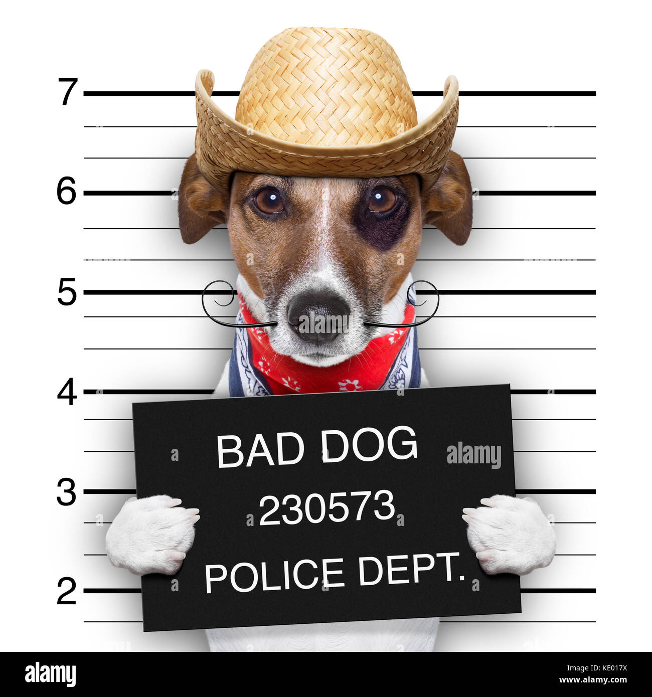 Mugshot board hi-res stock photography and images - Alamy