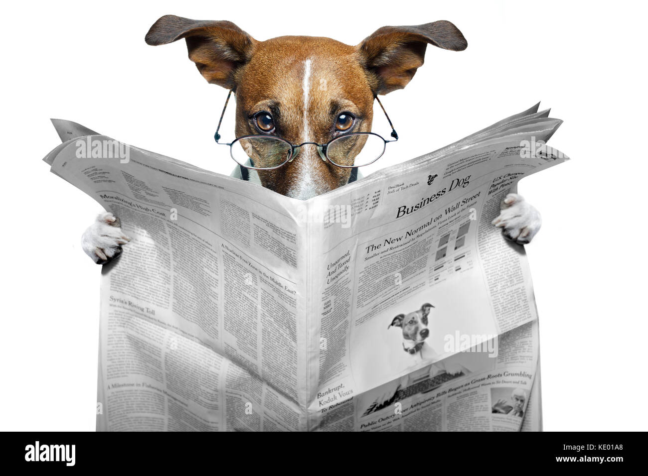 Puppy Newspaper