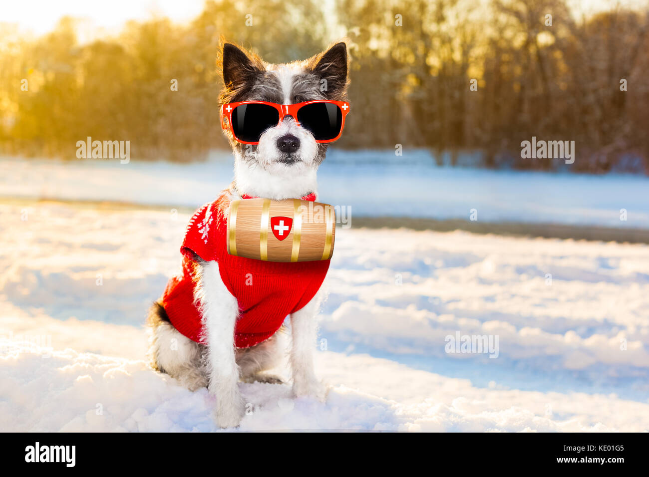Switzerland avalanche rescue hi-res stock photography and images - Alamy