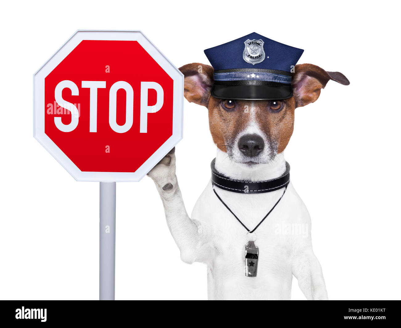 Funny Police Dog Pictures