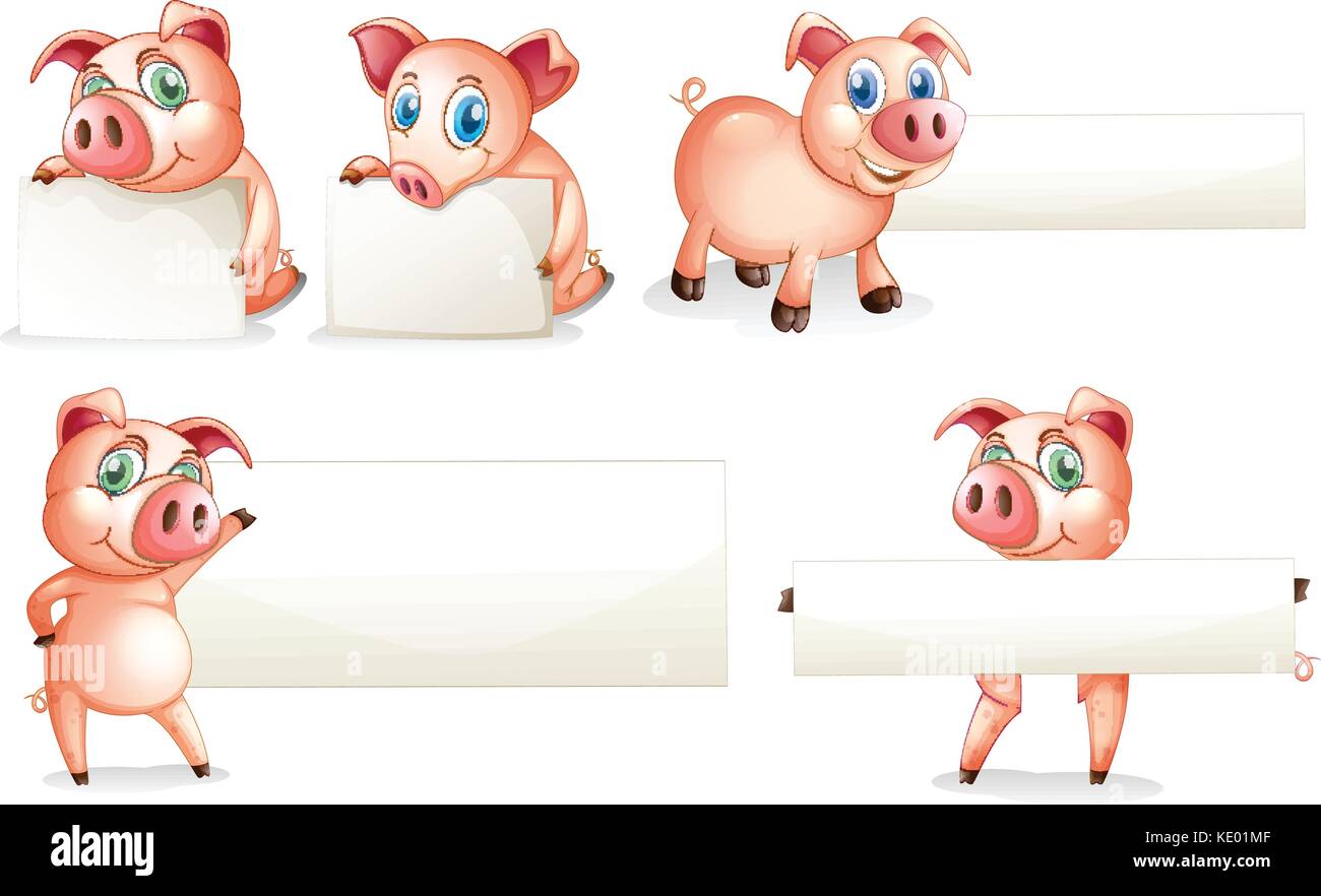 Paper template with pig illustration Stock Vector Image & Art - Alamy