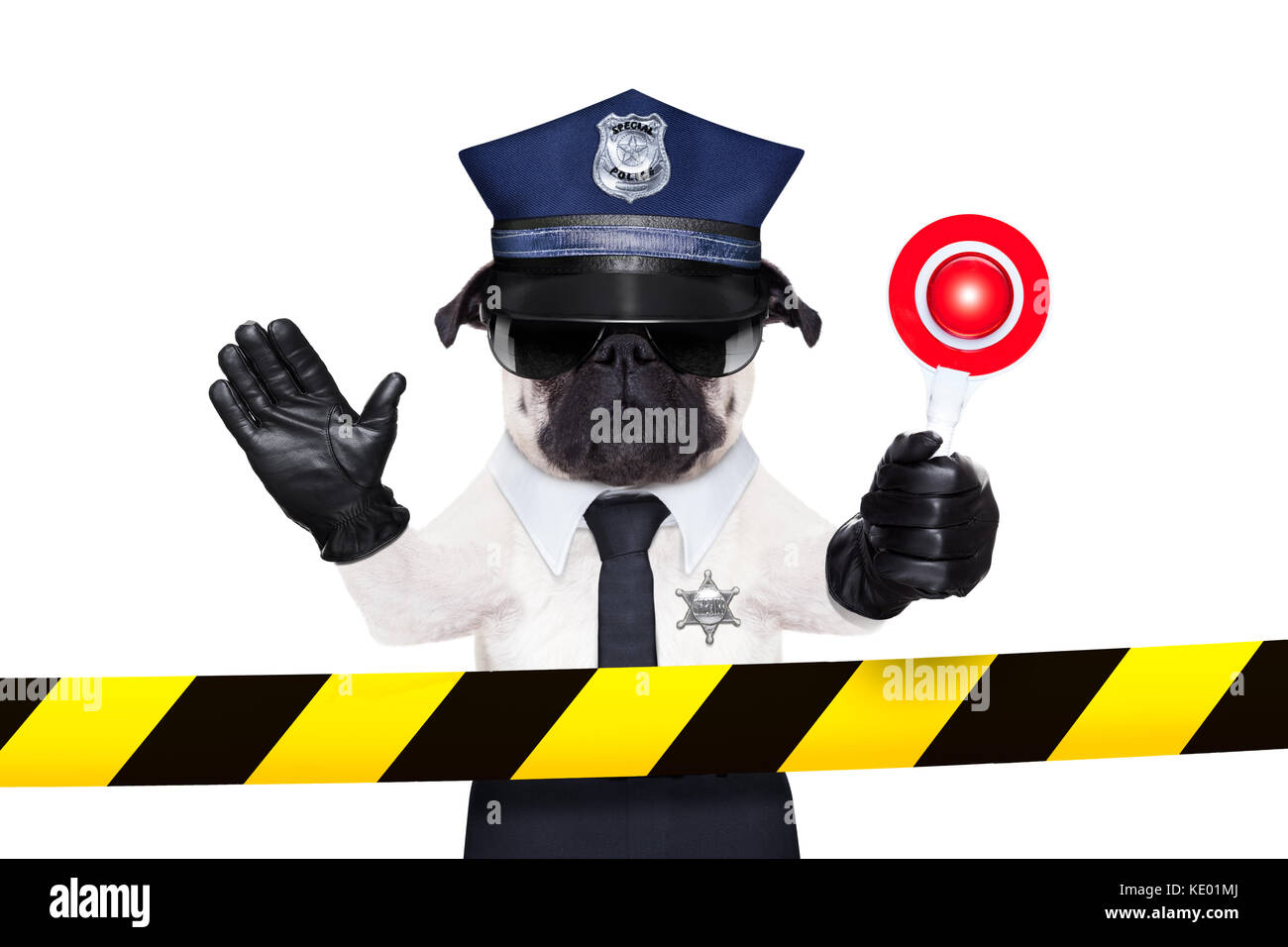 POLICE DOG ON DUTY WITH stop sign and hand behind a warning stripe band ...