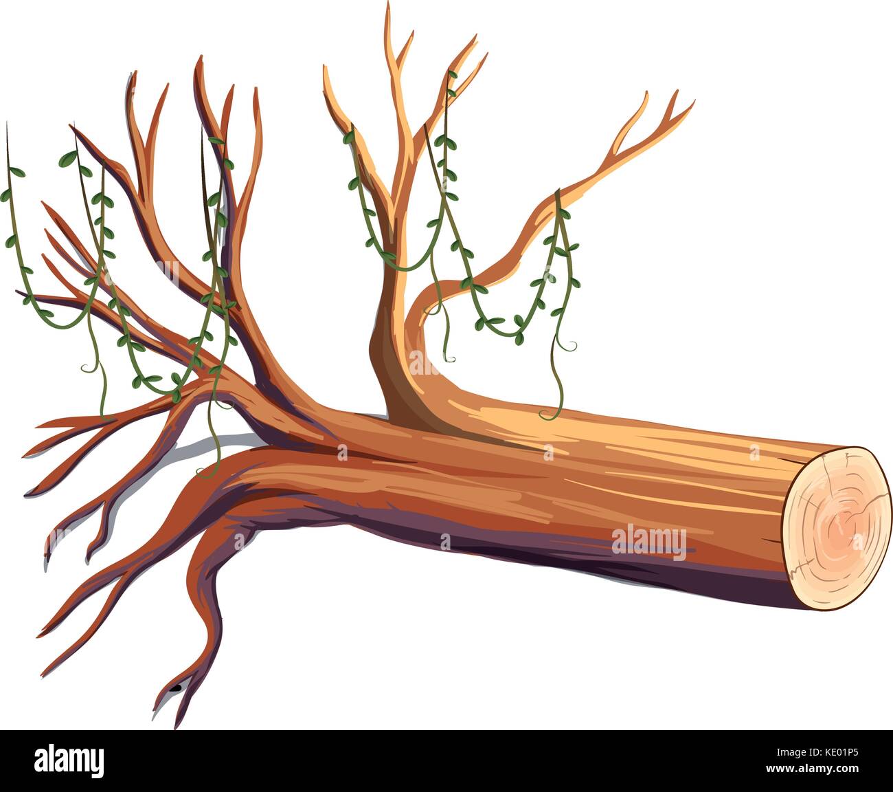 Wooden log with vine illustration Stock Vector Image & Art - Alamy