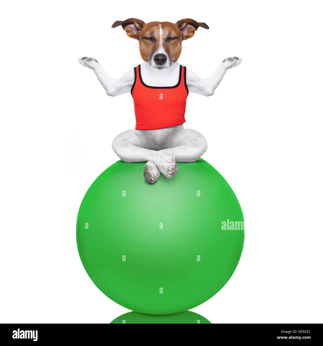yoga dog posing in a relaxing pose with both arms open and closed eyes ...