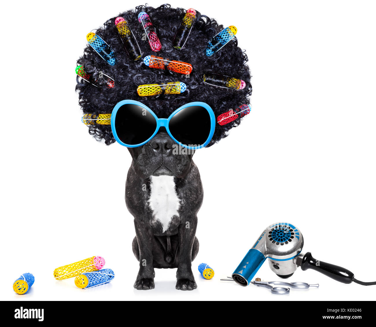 Hair care afro beauty Cut Out Stock Images & Pictures - Alamy