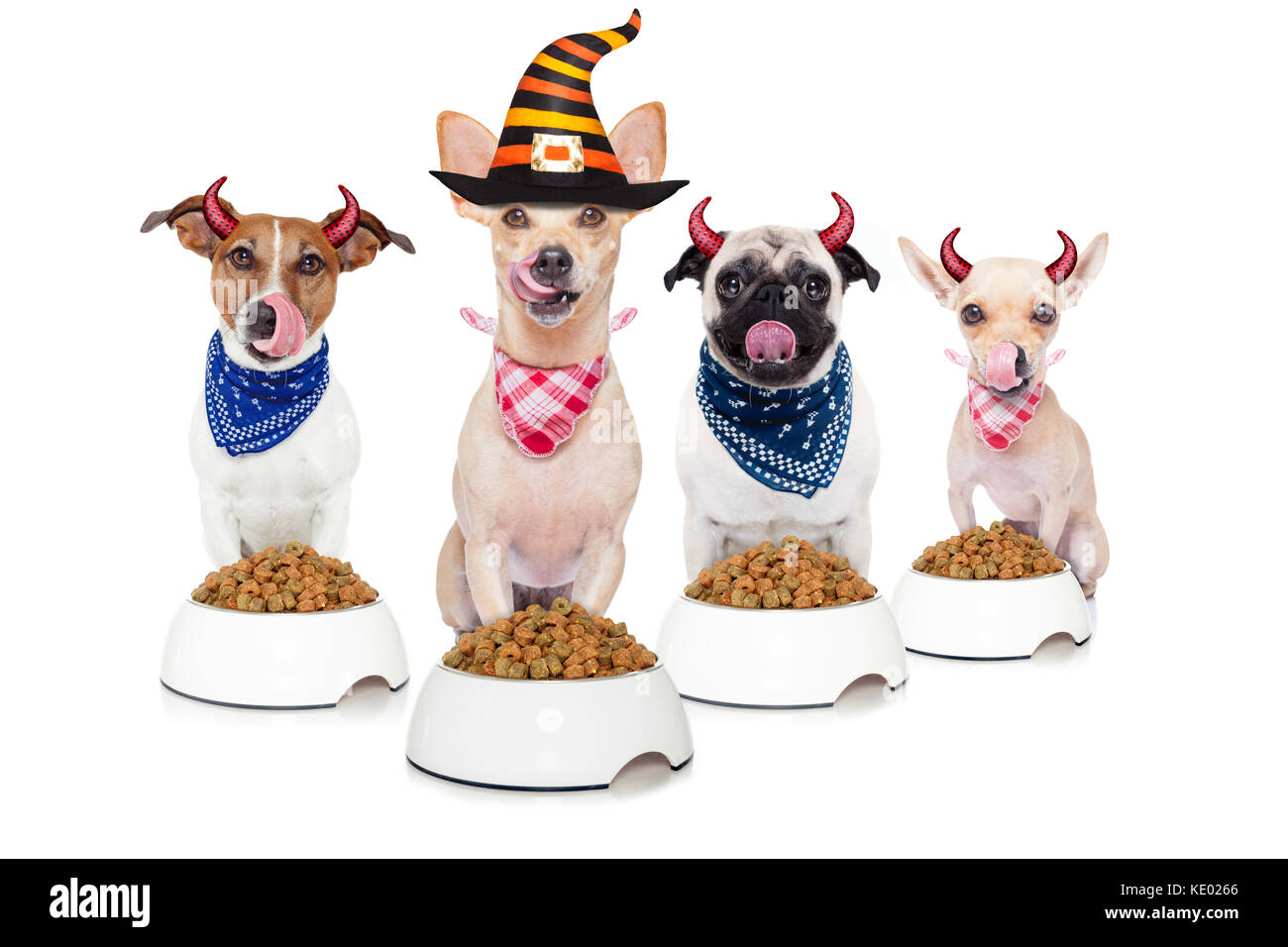 row and group of halloween hungry dogs in front of food bowls, isolated ...