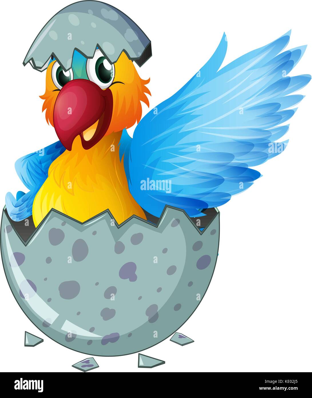 Parrot macaw hatching egg illustration Stock Vector Image & Art - Alamy