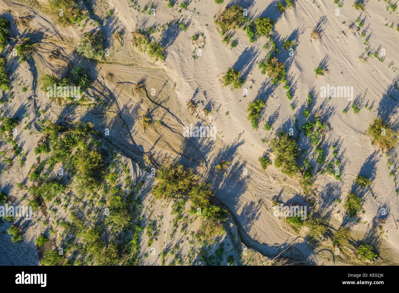 View of desert sand, brush, and trees from above Stock Photo - Alamy