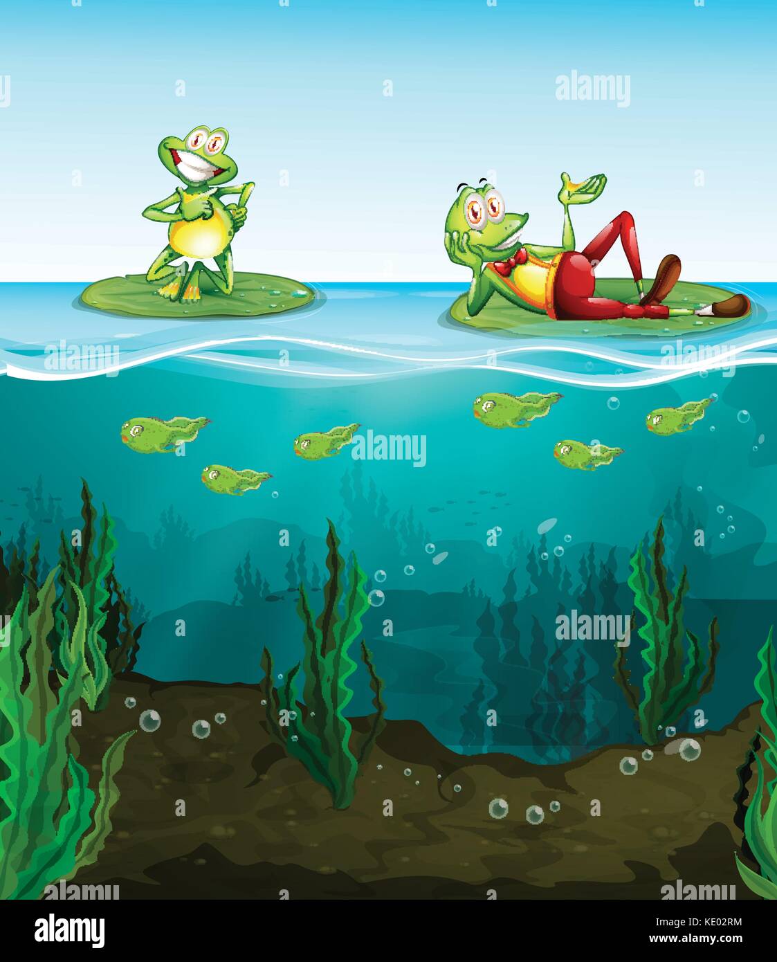 Two happy frogs and tadpoles in the pond illustration Stock Vector ...
