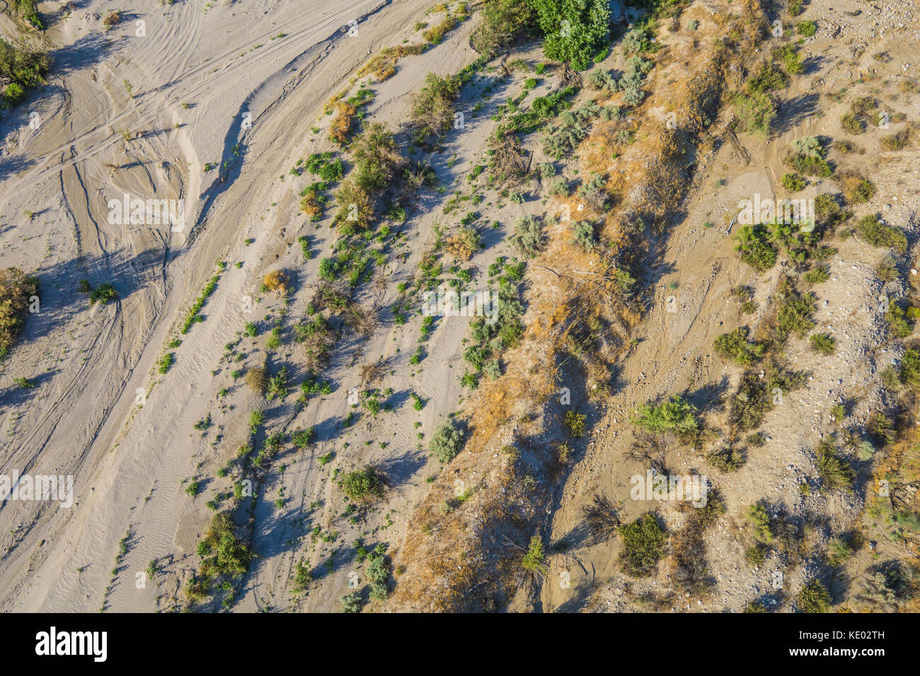 Green brush grows in the dry creek bed of an arid desert wash Stock ...