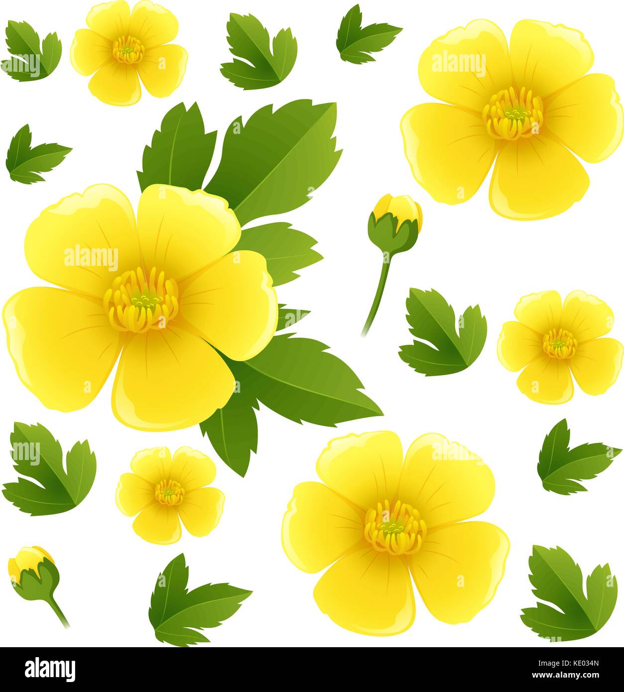 Seamless background with yellow buttercup flowers illustration Stock ...