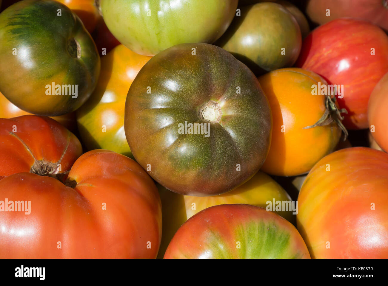 HeirloomTomatoes Close-Up Stock Photo - Alamy