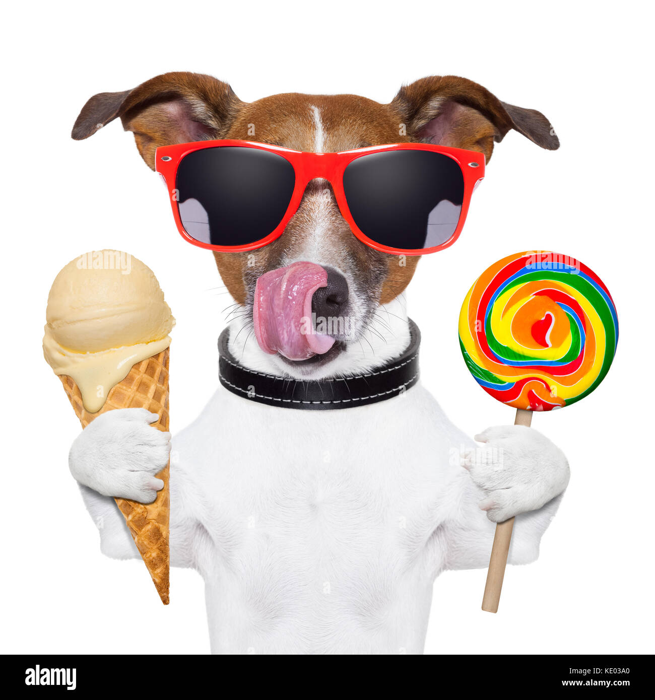 dog licking with ice cream and lolly Stock Photo - Alamy